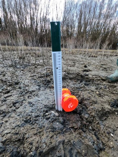 50 Measuring Columns For Recent Sedimentation Have Been Installed