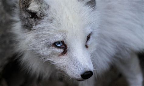 Making Squid Log Timestamps Human Readable Interconnecting Worlds