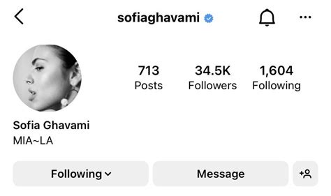 Sofia Not In Troupe Maybe A Pro But I Noticed She Removed Dwts Pro From Her Header On