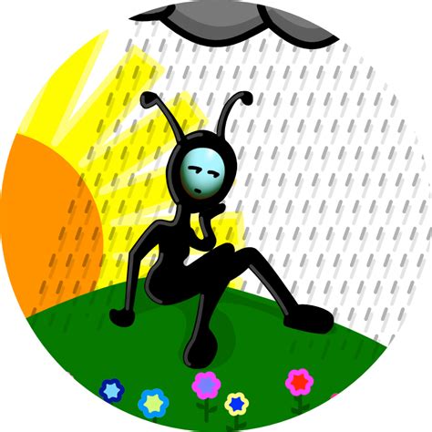 Ego Surfing Zip Bang Wow