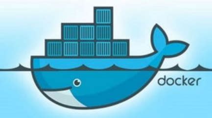 【docker】linux系统docker的安装及使用_linux docker-CSDN博客