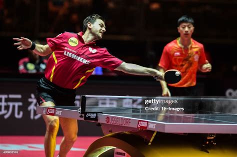 Timo Boll Of Germany In Action During The Table Tennis World News