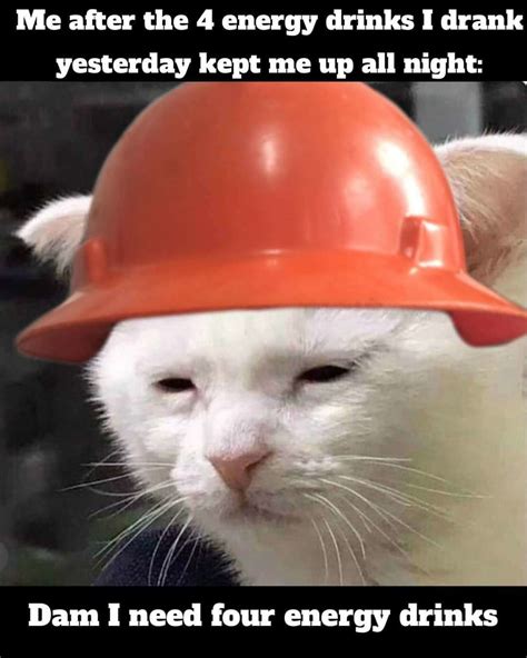 Energy Drink Meme Cats Energy Drinks Memes And S Imgflip