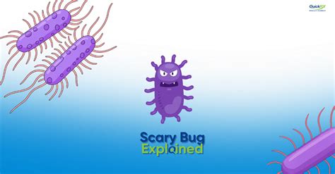 Quickrx Why Hospitals Fear This Bacteria More Than You Do