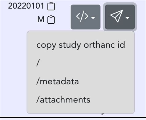 Send To DICOM Modality In Orthanc Explorer Not Visible Google Groups Archive Orthanc Users