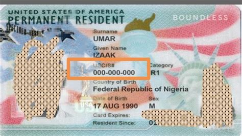 Where To Find Alien Registration Number