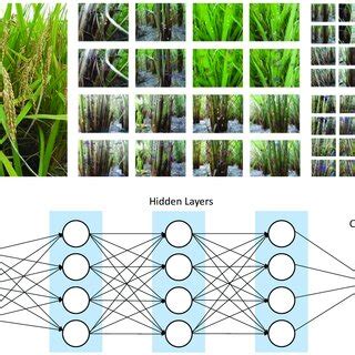 Deep Learning Architecture Download Scientific Diagram