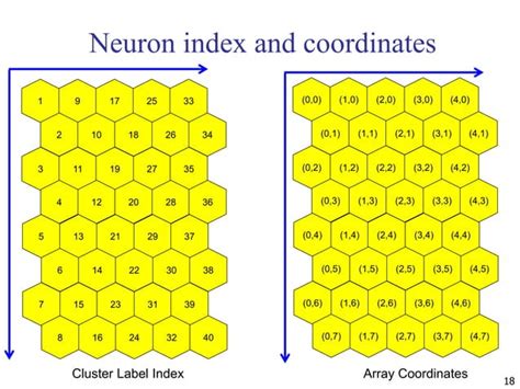 Self Organizing Feature Map Som Topographic Product Cascade 2 Algorithm Ppt