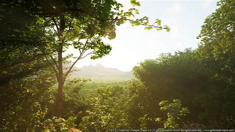 trees vol 5 maple trees ultra realistic wind in environments ue