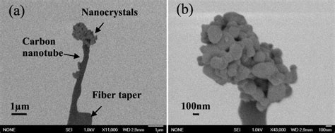 Characterizing Ultrashort Optical Pulses Using Second Order Nonlinear Nanoprobes Applied