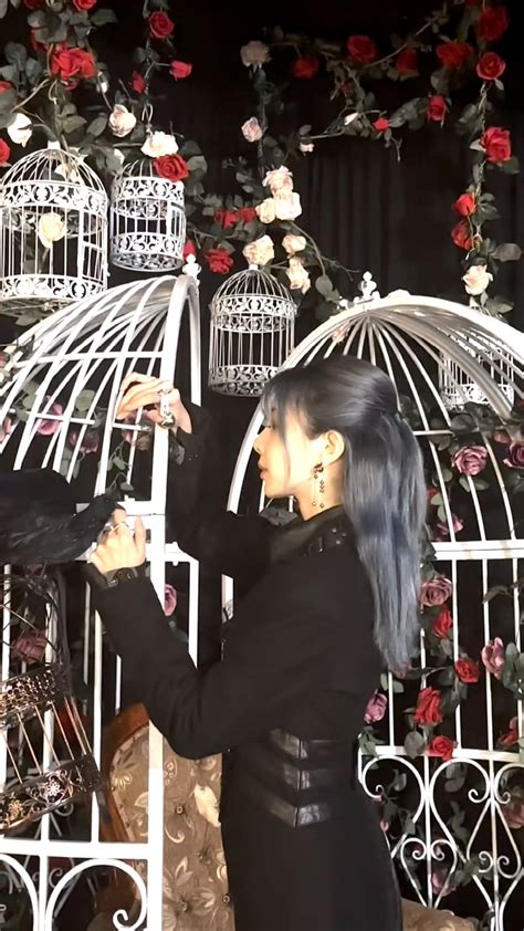 Dami Ootd Challenge 231129 Dc Tt R Dreamcatcher