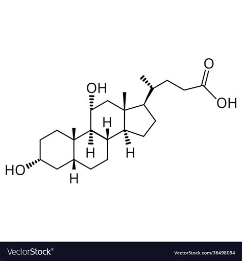 Chenodeoxycholic Acid Bile Chemical Royalty Free Vector