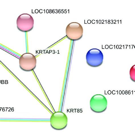 Protein Protein Interaction Networks Of Identified Differentially Download Scientific Diagram