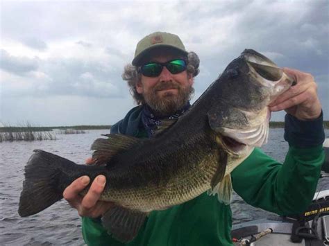 How To Fish For Fall Bass The Complete Guide Updated 2023