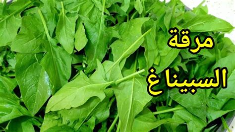 مرقة السبيناغ او الشبزي من قناة هم هم Youtube