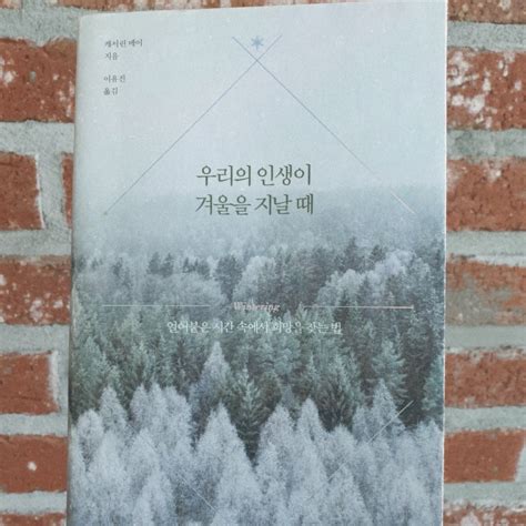 북카페책곰 오늘 아침 소중한 사람과 함께 할 수 있는 것만으로도 마음이 따뜻해질 거예요 말없이 곁에 머무는 사랑이 가장 큰 위로가 되는 날입니다 북카페책곰 부산