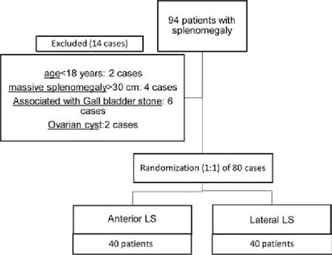 Randomization Scheme Download Scientific Diagram