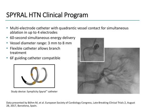 Renal Denervation Rises From The Ashes Ppt Download