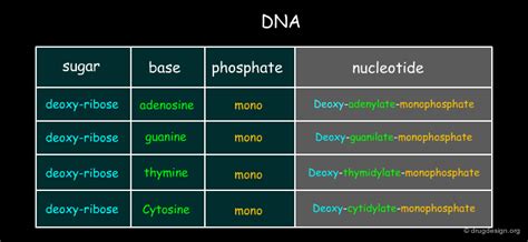 Structural Bioinformatics Drug Design Org