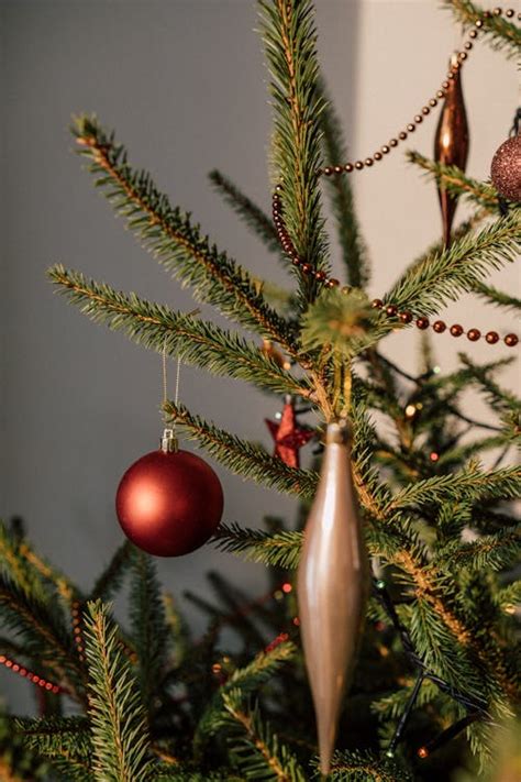 Navidad 가문비 가지 겨울 계절 골드 공 구체 금 장식 기념 긴 양말 녹색 따뜻한 리본 매달린 바늘 반짝이 반짝이다 벨 별 불빛