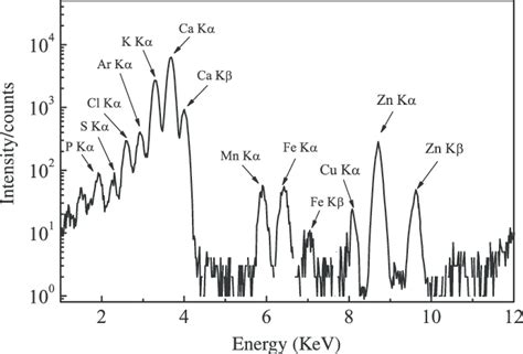 Typical Synchrotron Radiation X Ray Fluorescence Srxrf Microprobe Download Scientific Diagram