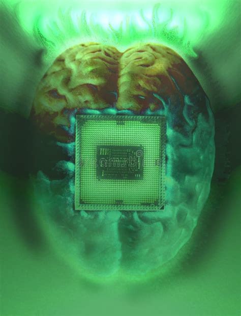 human brain anatomical model with cpu processor microchip stock