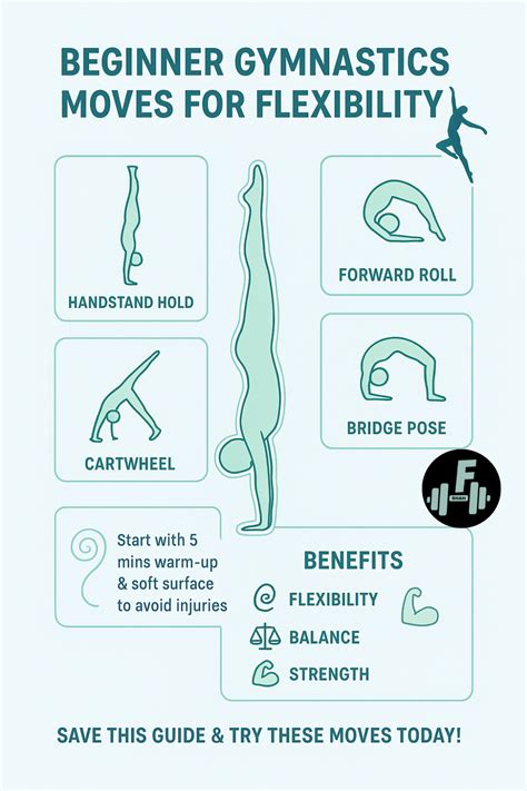 Beginner Gymnastics Moves Names And Pictures Easy Guide