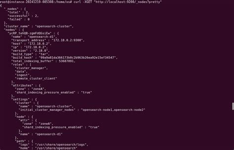 Creating Your First Opensearch® Cluster And Pro Tips For Success