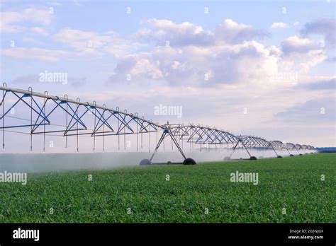 Automated Irrigation System Stock Photo Alamy