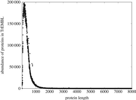 The Frequency Distributions Of Protein Lengths Measured In Amino Acids Download Scientific