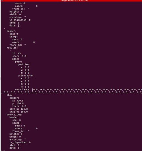 Ros1 Publish Bbox2d Vs Ros1 Camera Helper Isaac Sim Nvidia Developer Forums