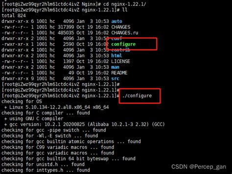 Linux中安装Nginx很详细 linux安装nginx CSDN博客