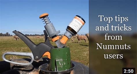 Tips And Tricks From Our Numnuts Users