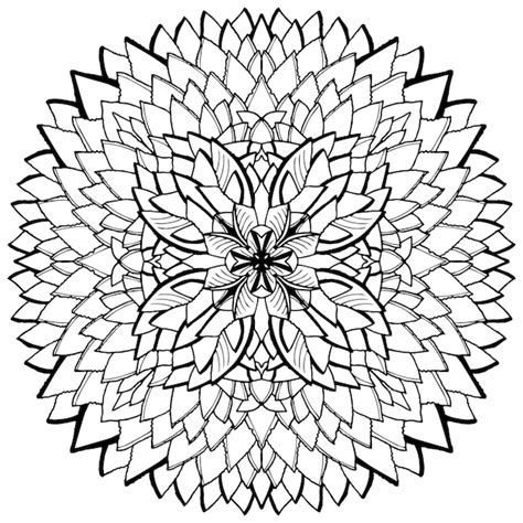 재미 있고 상쾌한 성인을위한 색칠 페이지 성인 안티 스트레스 색칠 페이지를위한 손으로 그린 스케치 프리미엄 벡터