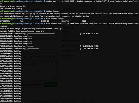 启动 docker 镜像报错 Issue wzpan wukong robot GitHub