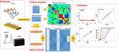 Github Redrodeo03amyloid Prediction Frl