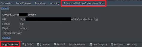 Svn Intellij에서 Svn Branch Create Merge 하기