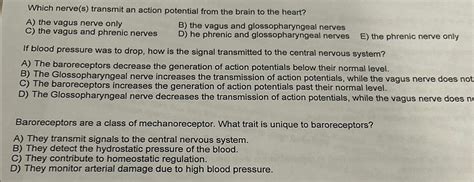 Solved Which Nerves ﻿transmit An Action Potential From The