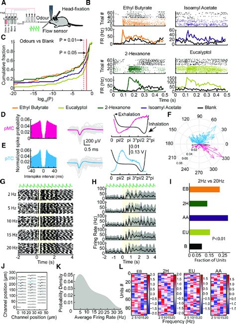 Ob Neurons Encode Odor Frequency A Schema Of The Unit Recording Download Scientific Diagram