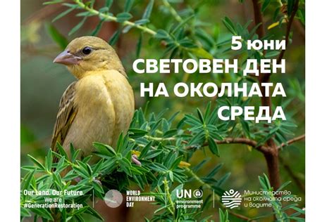 Световен ден на околната среда