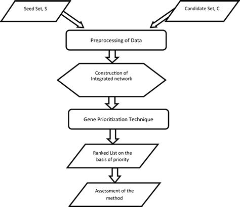 Network Based Disease Gene Prioritization Approach Download