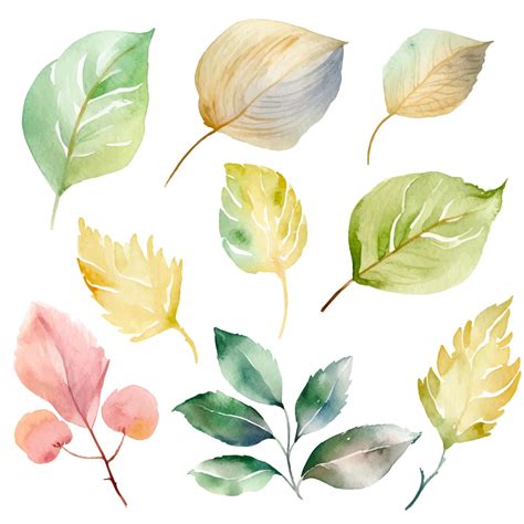벡터 수채화 나뭇잎 클립 아트 프리미엄 벡터