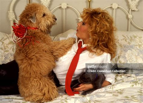American Soap Opera Actress Tracey E Bregman Poses For A Portrait