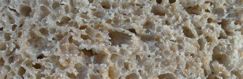 A Freebie Collection Weird And Unusual Bread Textures Naldz Graphics