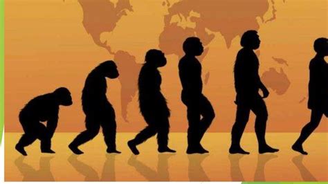 El Origen Del Hombre El Origen Del Hombre Nombre Serg