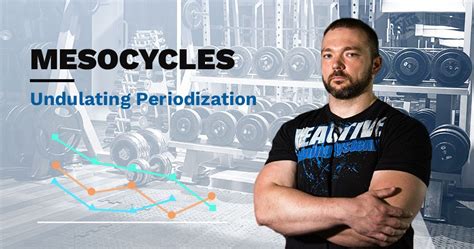 Daily Undulating Periodization Was A Hot Topic Of Forum Talks And Research Papers A Few Years
