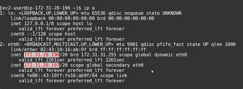 Easy Guide To Setup Amazon Ec2 Multiple Ips Bobcares