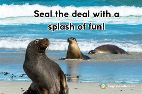 160 Seal Puns Seal Iously Funny Puns Thatll Have You Laughing
