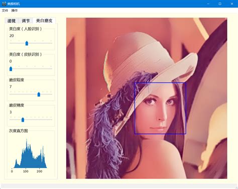 Github Perpetualsmilebeautycamera 美颜相机，具有人脸检测、磨皮美白人脸、滤镜、调节图片、摄像功能