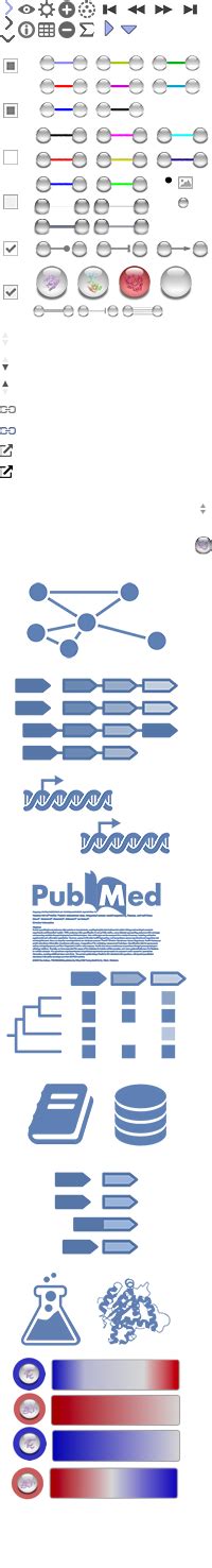 String Functional Protein Association Networks